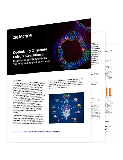 Optimizing Organoid Culture Conditions Application Note Bio Techne