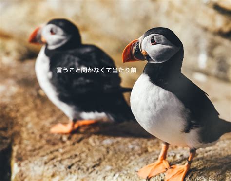 子供が言うことを聞かないのは、あなたが “口だけ” だから。かも。 こそだてごはん