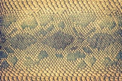 Fondo De Piel De Serpiente Cerrar Textura De Reptil Foto Premium