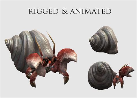 3d Model Animated Hermit Crab Vr Ar Low Poly Cgtrader