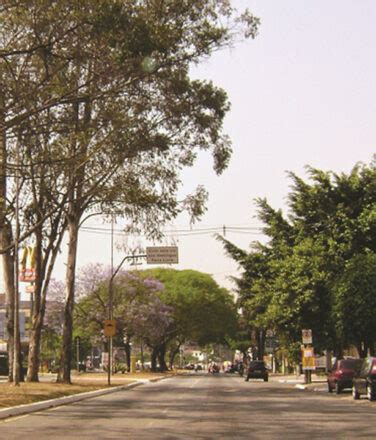 Guarulhos é o município que mais cresce em São Paulo Tibério