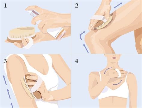 Dry Brushing How To Dry Brush Your Skin Goop Dry Brushing Dry Brushing Skin Skin Brushing