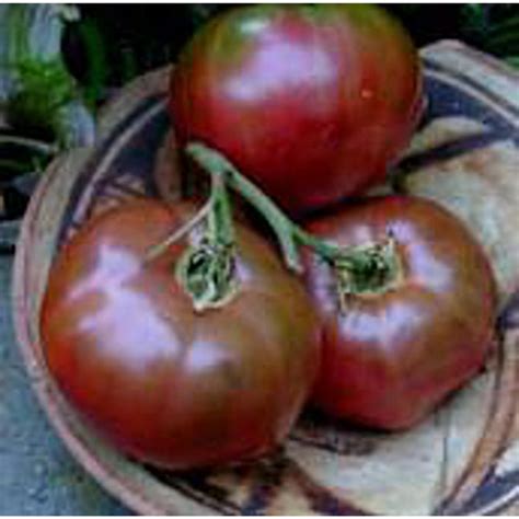 Indian Vegetable Seeds Etsy