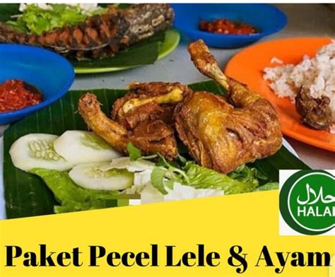 Detail Gambar Ayam Pecel Lele Png Koleksi Nomer 55