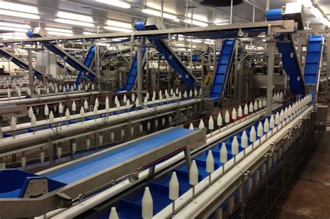 Conveyor Systems Wrightfield Design Manufacture Install And Service