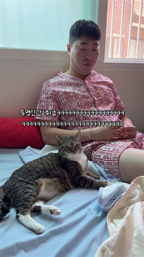 세상에서 제일 둔한 고양이 Shorts Shortvideo 고양이 시트콤 Youtube