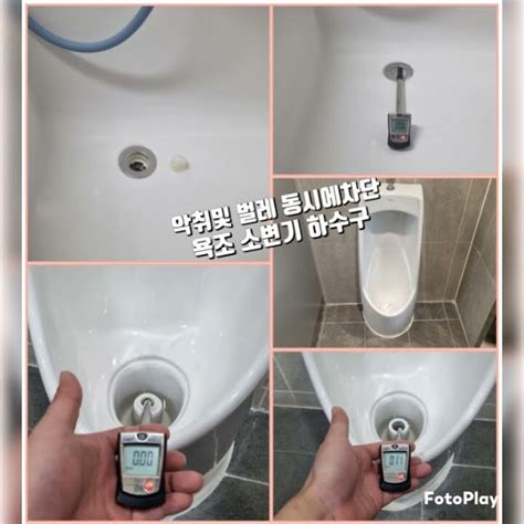 포천화장실냄새 포천하수구냄새 포천싱크대냄새 포천변기냄새 포천배수구냄새 연천하수구냄새 연천화장실냄새 연천싱크대냄새 연천변기냄새 포천소변기냄새 연천소변기냄새 베란다 우수관 벌레
