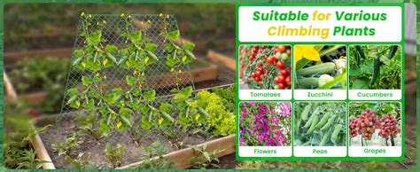 Cucumber Trellis For Garden 35 X 50 Foldable A Frame Trellis Garden Cucumber Trellis For Garden 35 X 50 Foldable A Frame Trellis Garden