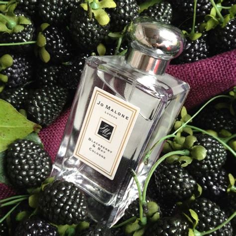 [Money Back Guaranteed]Jo Malone Blackberry & Bay Cologne London 100ml ...