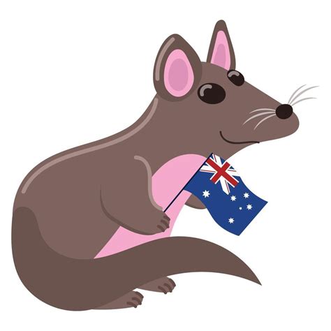 Marsupial Mouse Australian Day 16755302 Vector Art At Vecteezy