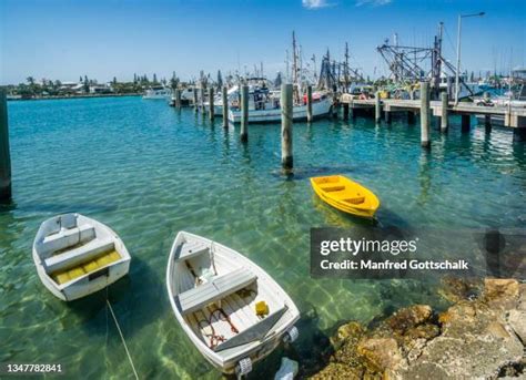 Mooloolah Queensland Photos And Premium High Res Pictures Getty Images
