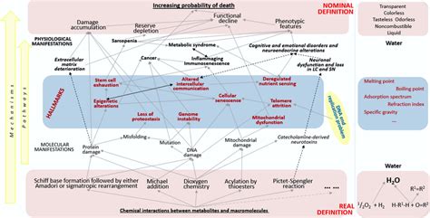 Nominal Definition