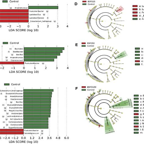 Linear Discriminant Analysis Lda Scores On Different Taxonomical
