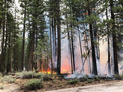 Bootleg Fire Nears 300000 Acres At 22 Containment Morning Update