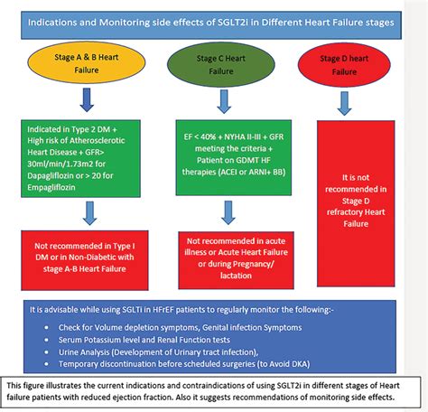 Indications And Monitoring Of Side Effects Of Sglt2i In Different Download Scientific Diagram Indications And Monitoring Of Side Effects Of Sglt2i In Different Download Scientific Diagram