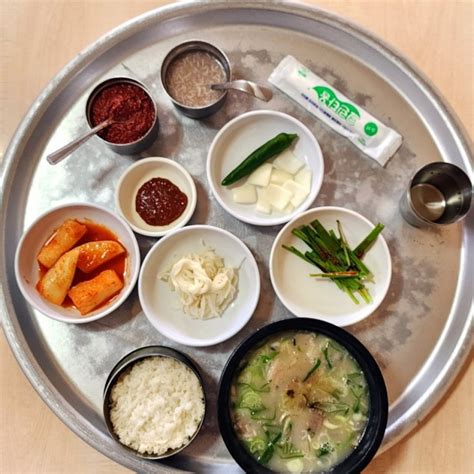 경주 시골돼지국밥 황리단길 아침 식사로 돼지국밥 7시 오픈 포장 고양이 네이버 블로그