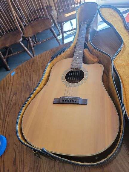 Epiphone Guitar Advantage Auction