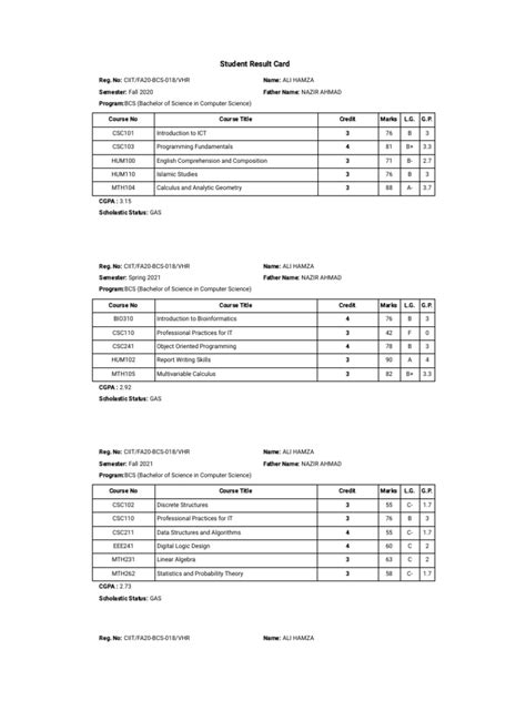 Result Card Bs Pdf Computer Science Science