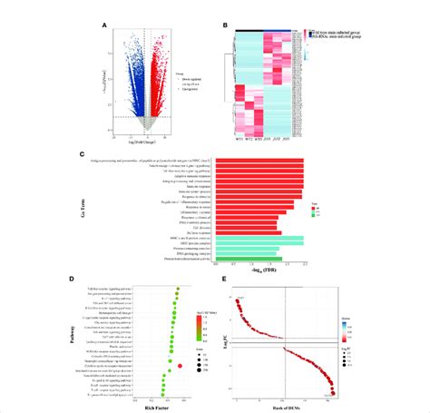 Comparative Transcriptomic Analysis Of E Coioides Spleens Infected By