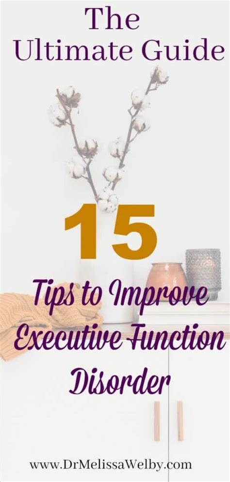 The Ultimate Guide 15 Tips To Improve Executive Function Disorder