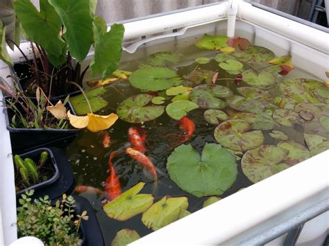 Radials Ibc Airlift Pond