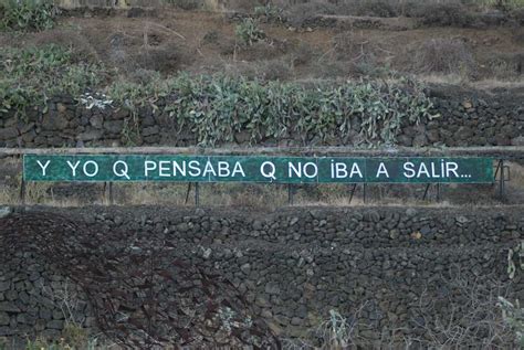 A N O N I M A N Y Yo Que Pensaba Que No Iba A Salir