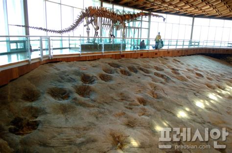 해남공룡박물관으로 공룡덕후들을 초대합니다