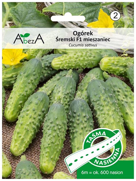 OGÓREK gruntowy Śremski F1 nasiona na taśmie 6m 5907666550410 Cena