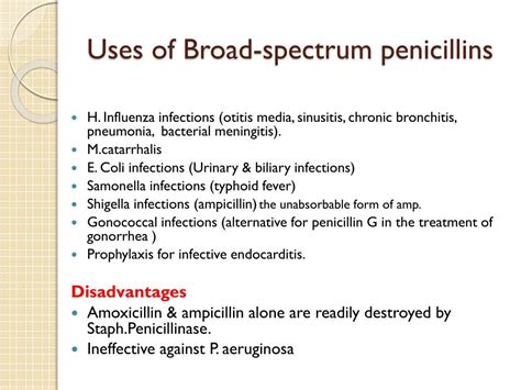 Ppt Penicillins Powerpoint Presentation Free Download Id 2136287