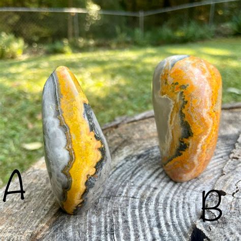 Bumblebee Jasper Etsy