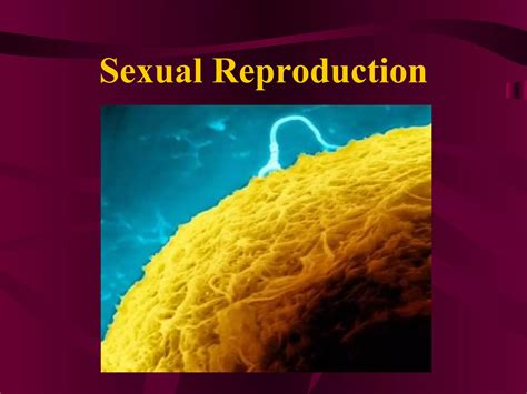 Science 9 Unit A Biological Diversity Section2 Lesson4 Asexual Sexual