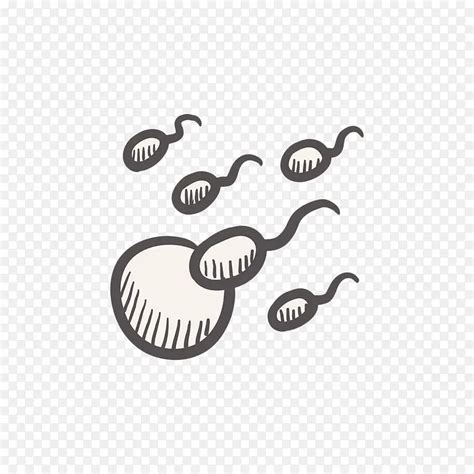 卡通精子和卵子PNG图片素材下载 图片编号ybaglgkp 免抠素材网