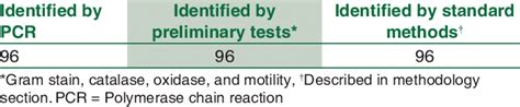 Comparison Of Polymerase Chain Reaction And Phenotypic Identification Download Scientific