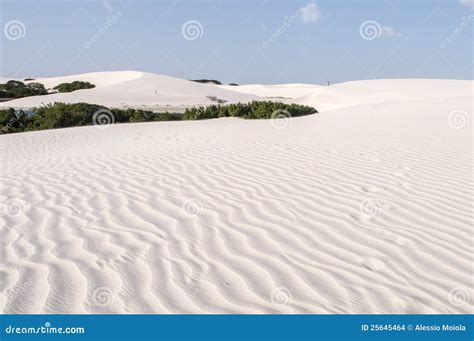 Dunas De Areia Do Lencois Maranheses Em Brasil Foto De Stock Imagem