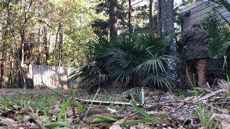 Panzerpost 37mm Signaling Device Aimed For The Top Of The Fence One