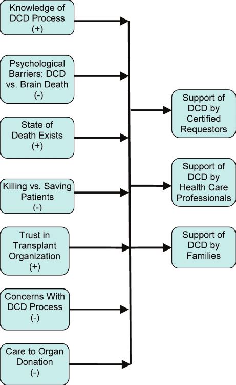 Hypothesized DCD Support Model Download Scientific Diagram