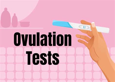 Ovulation Test How To Use It And When Is The Best Time To Take It Urban Mamaz