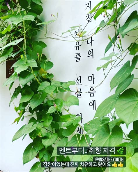 젊은인사 빨 주 노 초 파 남 보 우리가 가진 색깔들이 각자 다르기에 신비롭고