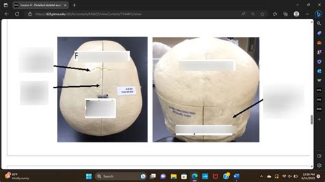 Skull Diagram Quizlet