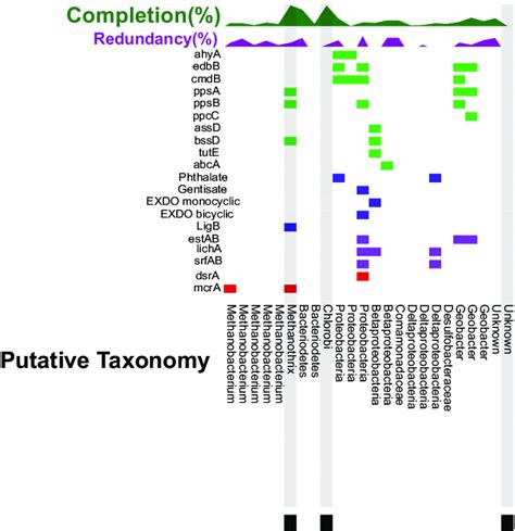 Comparison Of Coverage And Gene Presence In Boncatpositive
