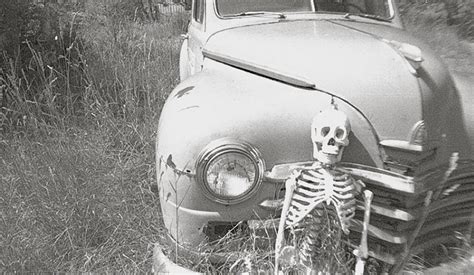 Mysterious Photos Of The Skeletons Inside Of Us Stranger Dimensions