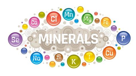 Everything You Need To Know About Renal Multi Vitamin Formula