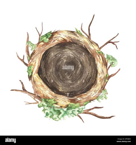 Empty Birds Nest Top View Watercolor Illustration Round Thatched