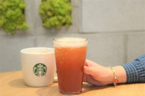 스타벅스에서 누적 7000만잔 팔린 음료  인스티즈 Instiz 이슈 카테고리