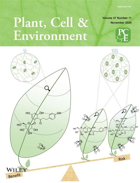 Identification And Characterization Of Innate Immunity In Actinidia Melanandra In Response To