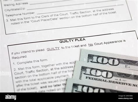 Speeding Ticket Form