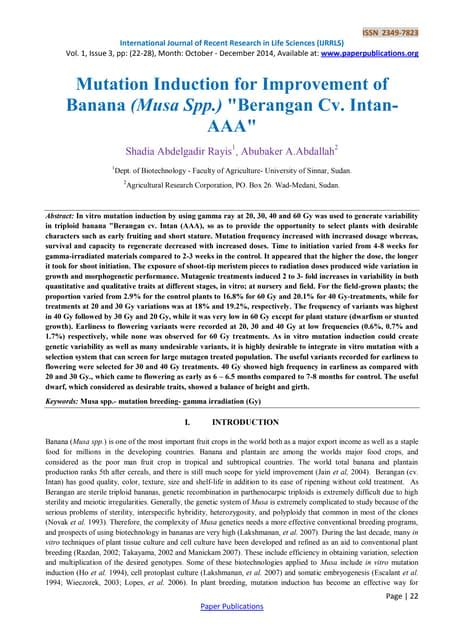Mutation Induction For Improvement Of Banana Musa Spp Berangan Cv Intan Aaa Pdf