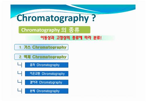 화학 Paper Chromatography종이 크로마토그래피 자연공학