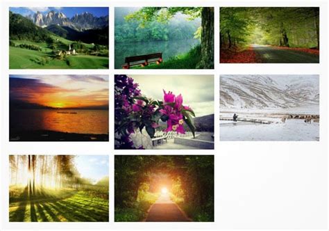 How To Display Wordpress Images Next To Each Other