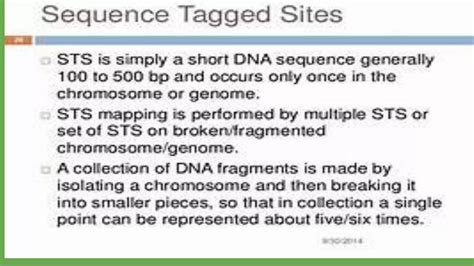 Gene Mapping And Its Sequence Pdf Genetics Science